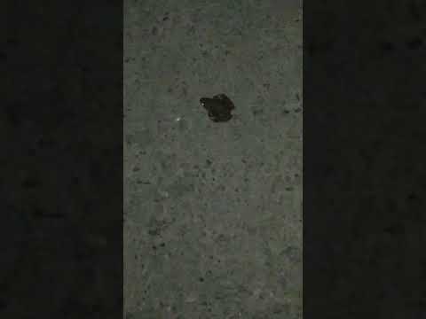 Steam Community :: Video :: Djdjdjf