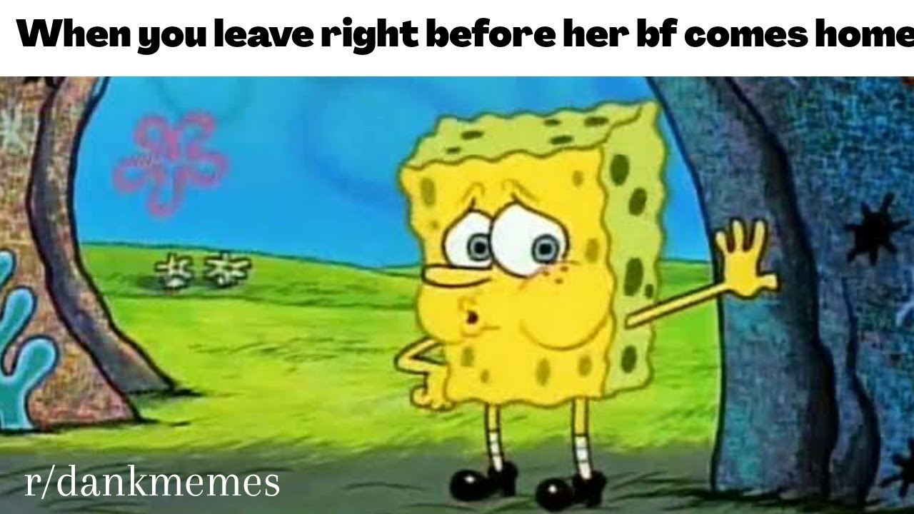 r/dankmemes Reddit Dank Memes v1