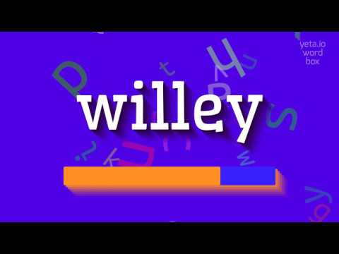 WILLEY - HOW TO PRONOUNCE WILLEY? #willey