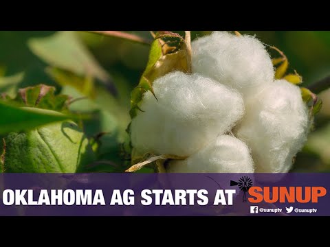 Cotton reclassification information (9/8/18)