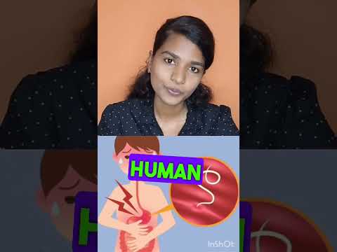 deworming # pet deworming