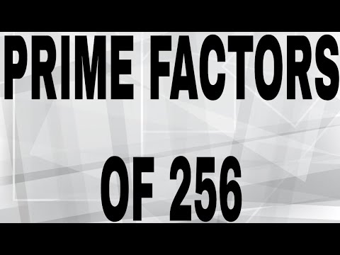 PRIME FACTORS OF 256