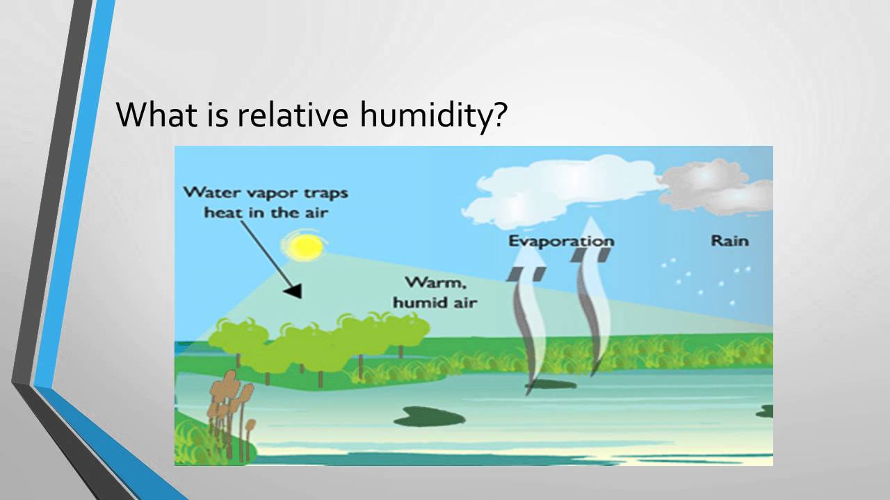 Moisture, Clouds, and Precipitation