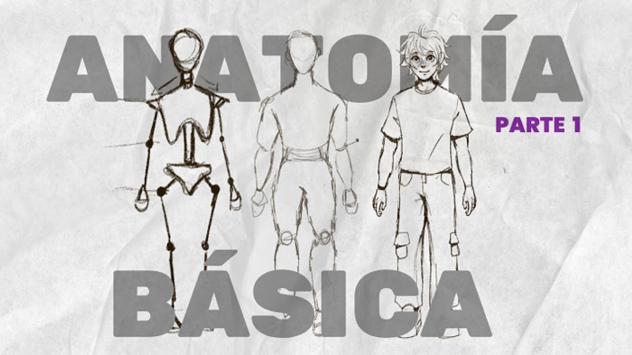 ASÍ SE DIBUJA EL CUERPO HUMANO | Anatomía para principiantes (parte 1)