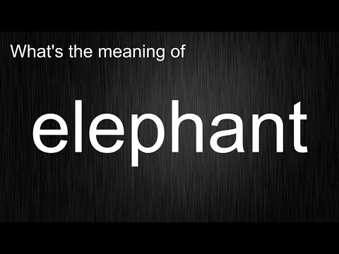 What's the meaning of "elephant", How to pronounce elephant?