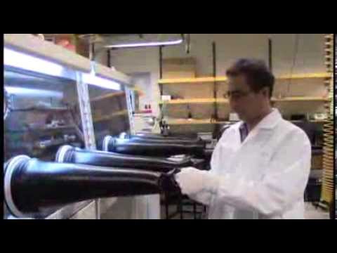 Flexible Electronics and Energy Lab: The Glovebox