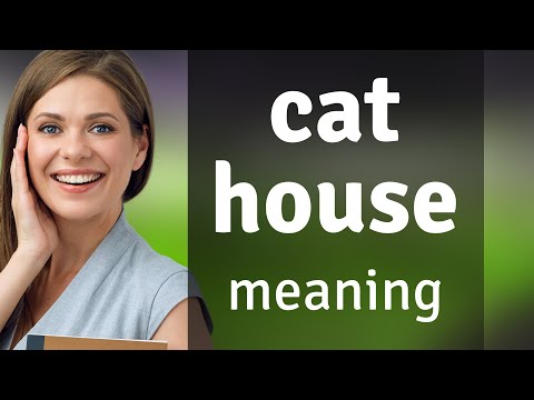 Unraveling Idioms: The Meaning of "Cat House"