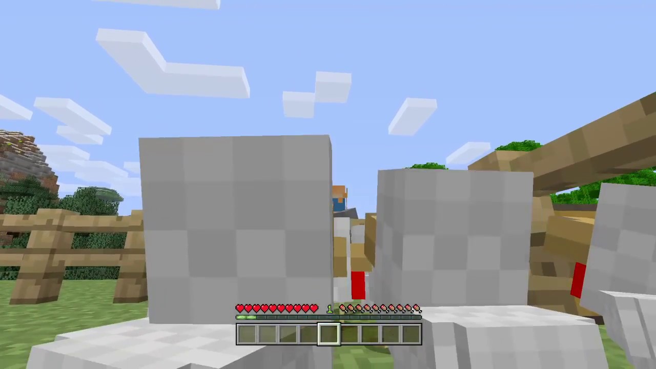 Minecraft | 5 Things You Probably Didn't Know About Chickens