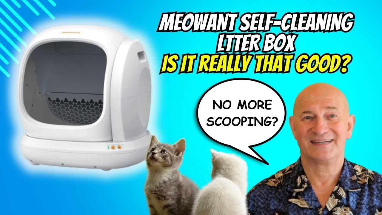 Meowant Review - Self Cleaning Litter Box || Is It Worth It?