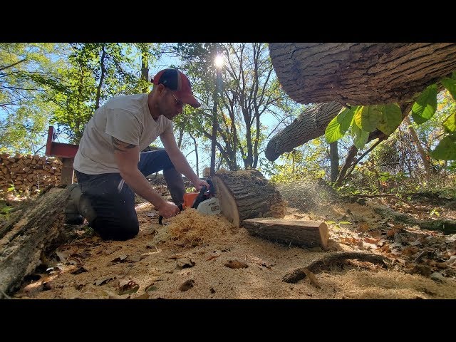 Chain Saw - Automatic Chain Saw Trader - Wholesaler / Distributor from ...