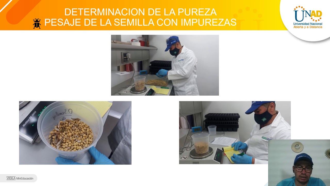 Presentación informe practica producción y tecnificación de semillas