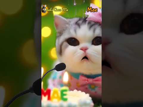 MAE HAPPY BIRTHDAY | HAPPY BIRTHDAY SONG WITH NAMES | Adorable Cute Cat 😺 #cat #gabrielle #catlover