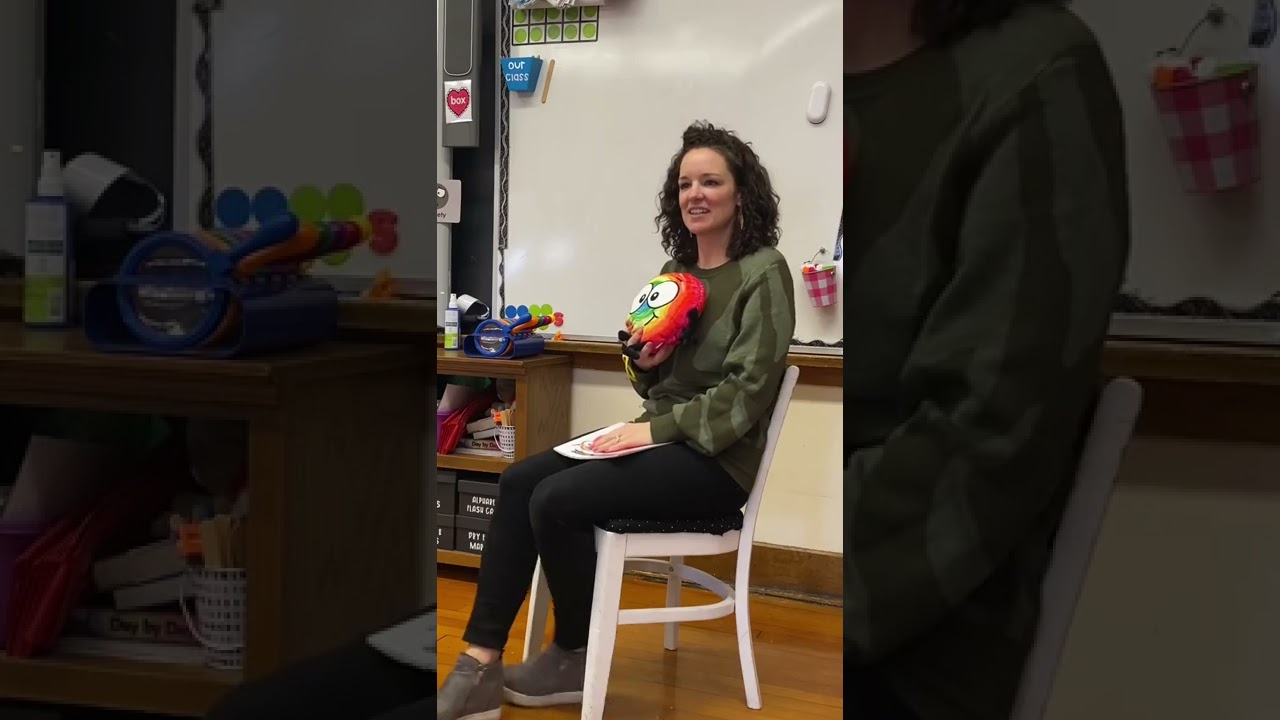 Educator Guide-Feeling detective