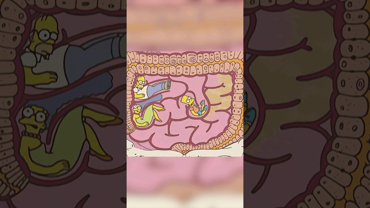 Swallow, digest, and excretion #simpson #shorts