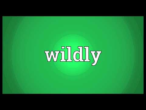 Wildly Meaning