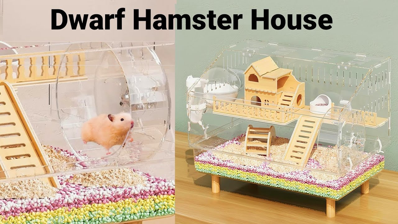 8 in 1 Acrylic Hamster Cage with All Accessories, 2 Layer Hamster House w Full Transparent #pets