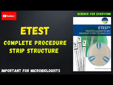 ETEST | Complete Procedure | Strip Structure | Conceptional Explanation