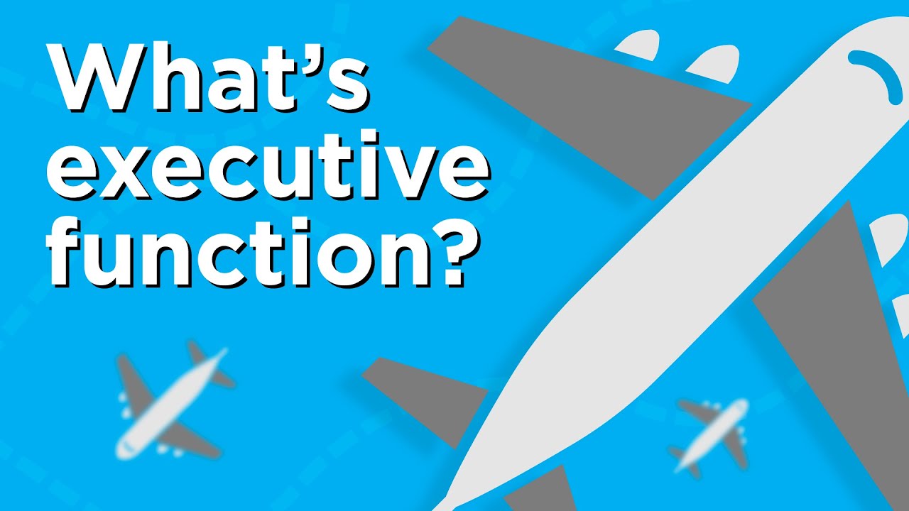 What Are Executive Function Skills And What Can You Do To Help What Are Executive Function Skills And What Can You Do To Help