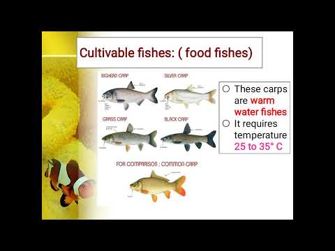 Fisheries