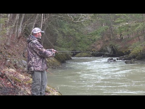 Fact Finders: Do senior citizens get a break on trout tags in Missouri?