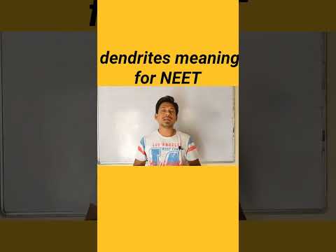 dendrites meaning #science #biology #neet