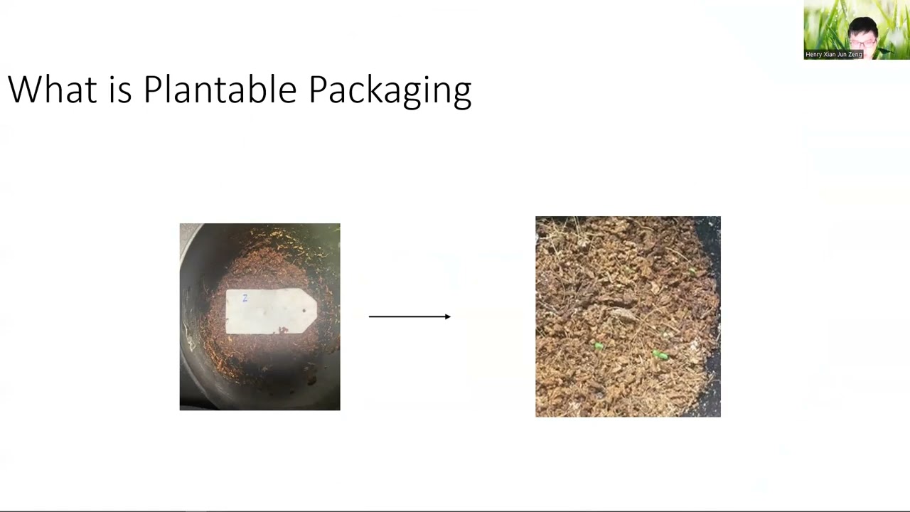 Impact - Plantable Packaging