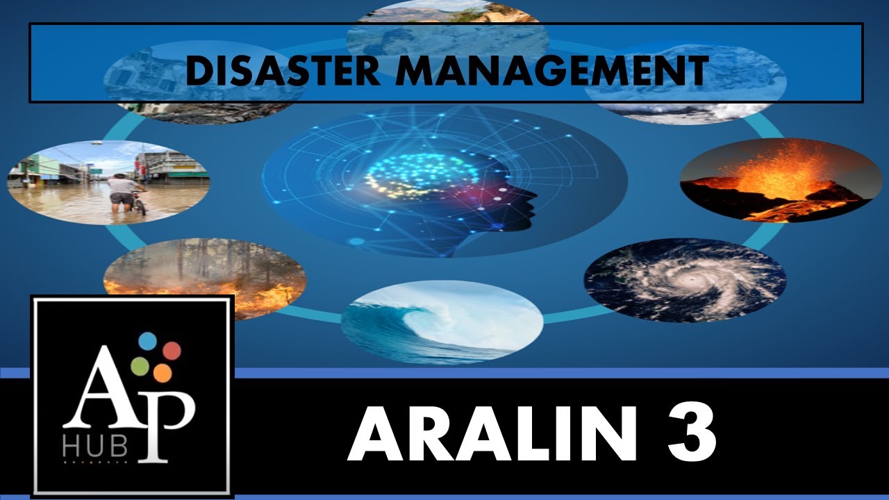 AP10-Q1-ARALIN 3