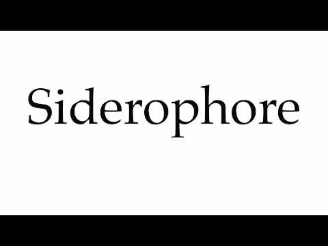 How to Pronounce Siderophore