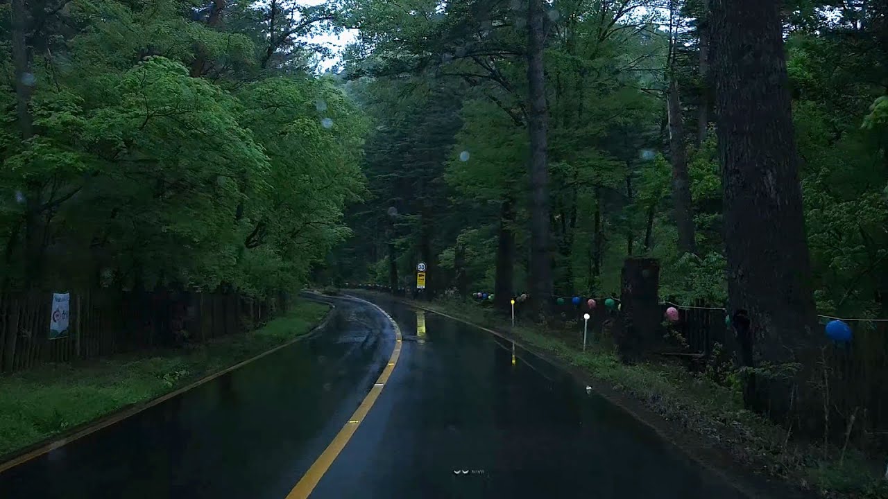 [4K. Rain Drive] Experience healing while running through a deep forest path in the rain. rain sound