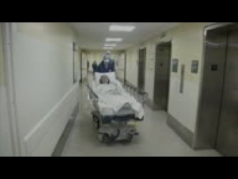 Live brain donations help scientific research