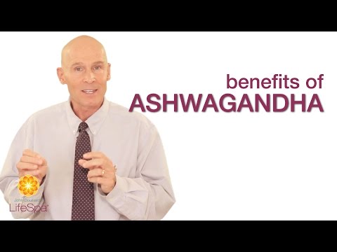 Benefits of Ashwagandha Root | John Douillard's LifeSpa