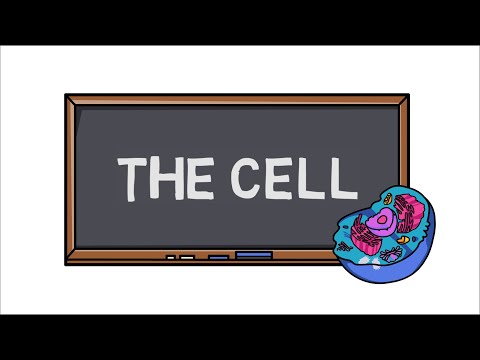 The Cell | Discovery of first Cell | Cell Theory |
