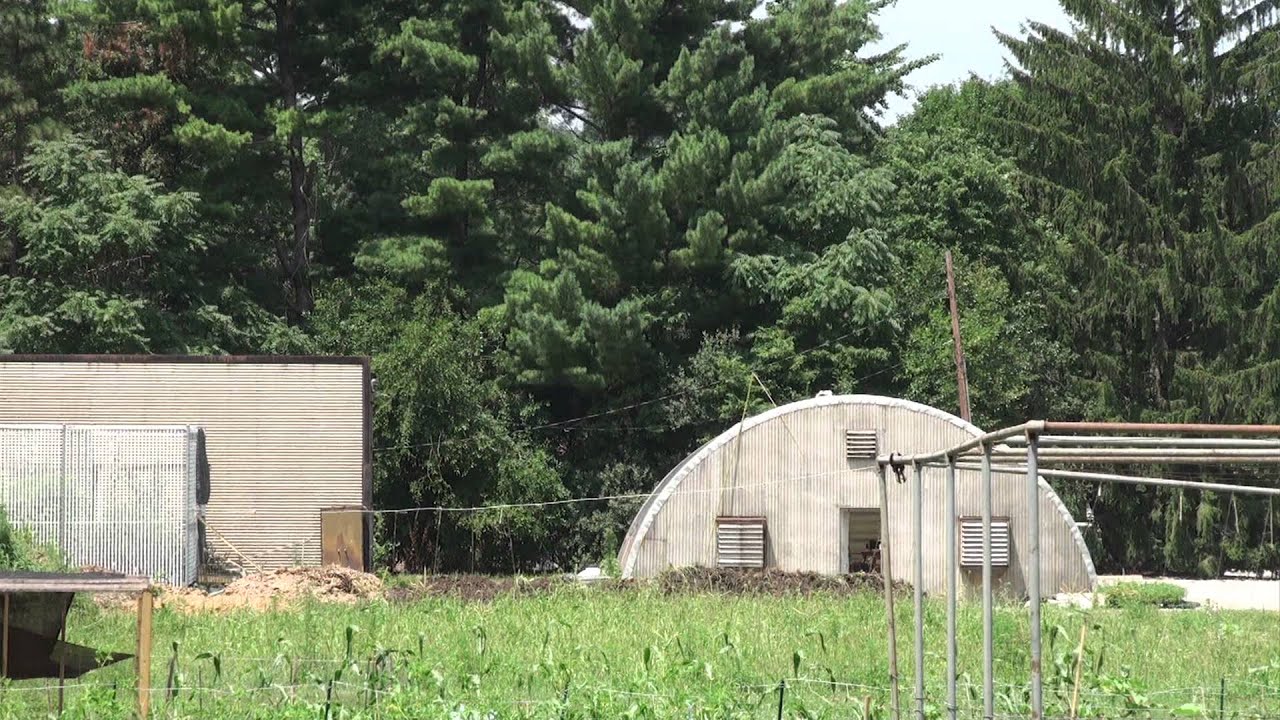 Experience Purdue Agriculture -- Ashley Holmes