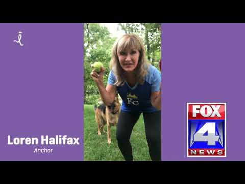 Loren Halifax (FOX4KC) — Author (U.S. GOV) – FOX 4 KANSAS CITY