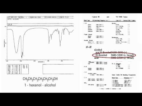 IR Interpretation