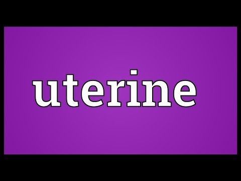 Uterine Meaning