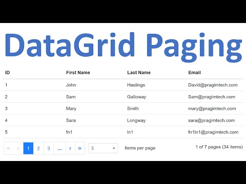 Learn ASP NET Core Blazor | DataGrid Paging - Mind Luster