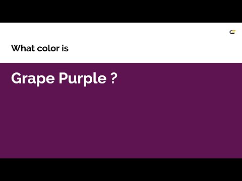 Grape Purple color #5d1451 hex color - Violet color - Cool color 5d1451