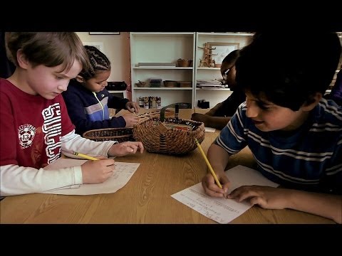 Is there too much testing in the public schools?