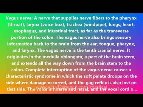 Vagus nerve - Medical Meaning and Pronunciation