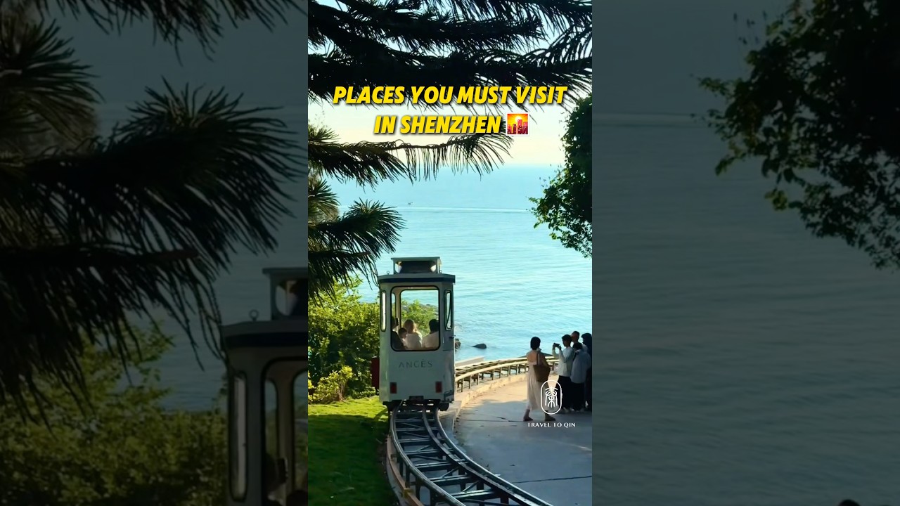 Places you must visit in Shenzhen #travelchina #travel #chinatour #traveltips #chinatravelguide