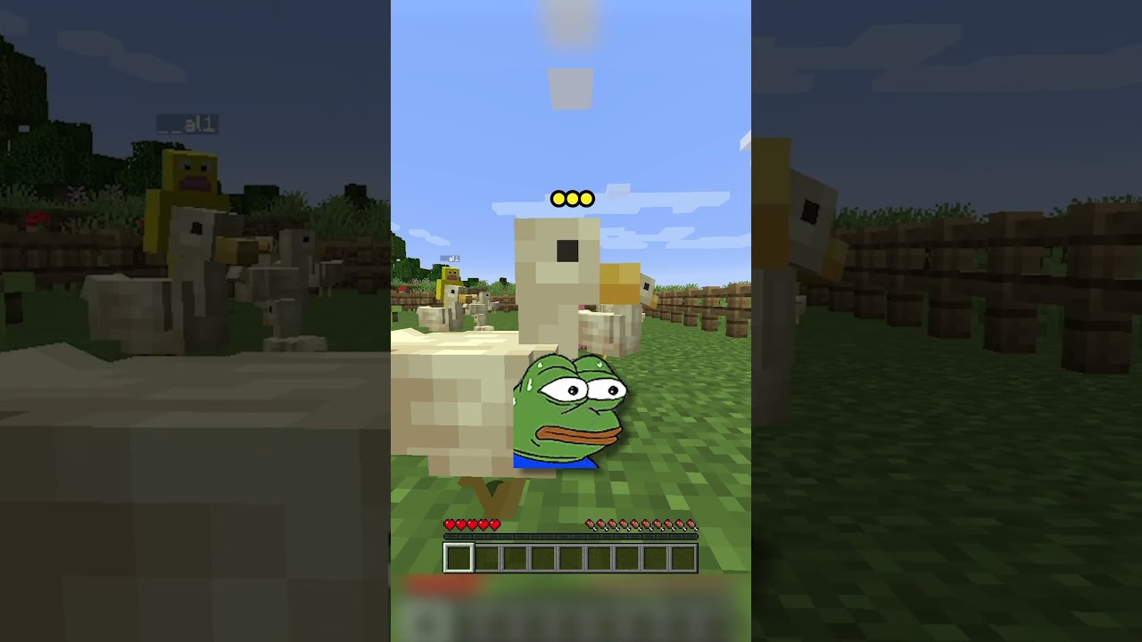 I hid the BEST as a duck