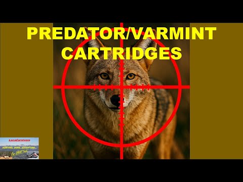 5 Predator-Hunting Cartridges You Must Know!