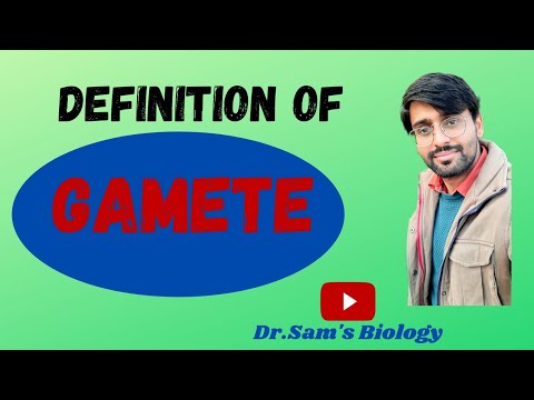What is Gamete