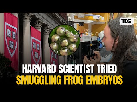 Harvard Scientist On Trial For Smuggling Frog Embryos, Biological Materials Into United States | TDG