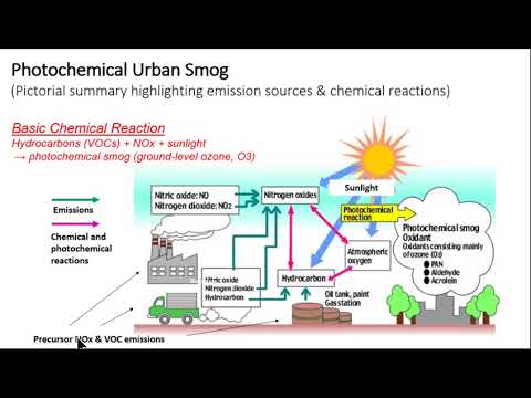 Ground-level Ozone - Course Lecture by Dr. Frank Freedman