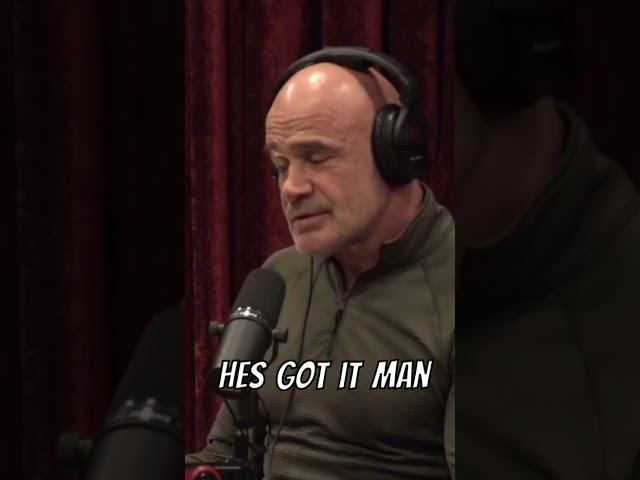 Joe Rogan: "He's got it" - When Joe Rogan and former UFC heavyweight ...