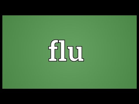 Flu Meaning