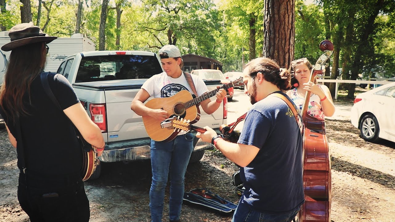 Hire Remedy Tree - Bluegrass Band in St Augustine, Florida