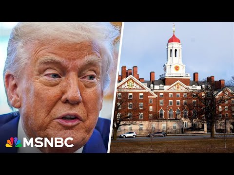 ‘Total gut punch’: Harvard scientist ordered to halt research due to Trump funding battle